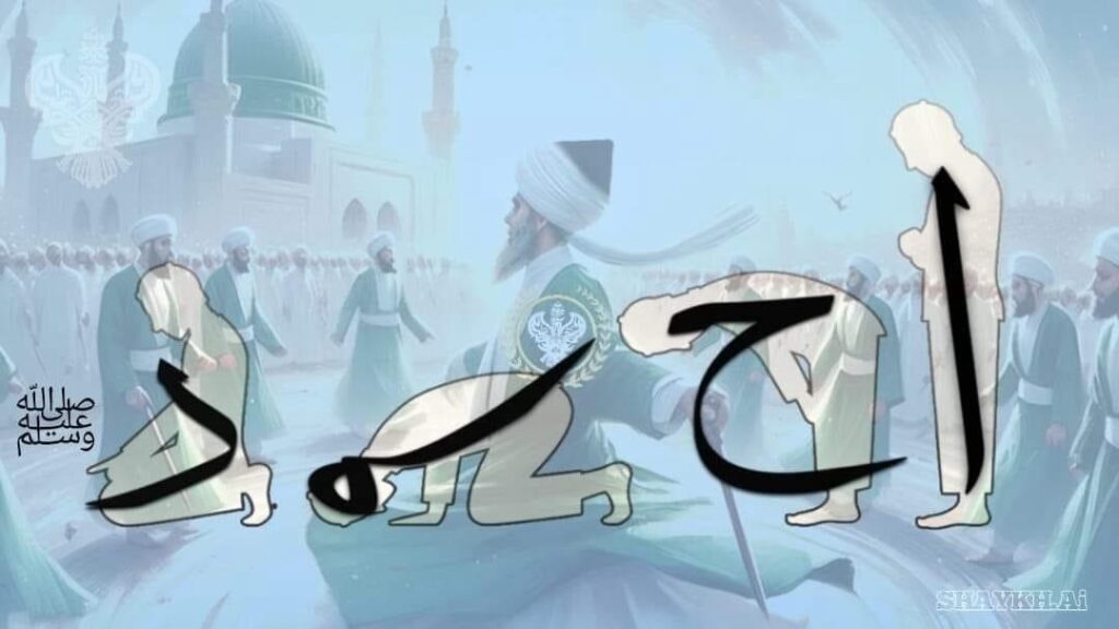 The Road to Divine Nearness: Pillars of Islam, Purification and ...