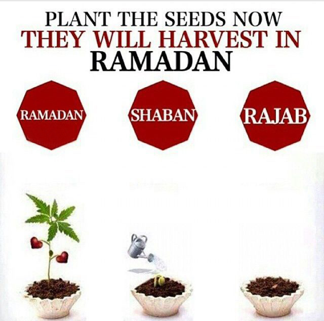 A Seed is Annihilated in the Soil to Become a Tree. The Tree is a ...