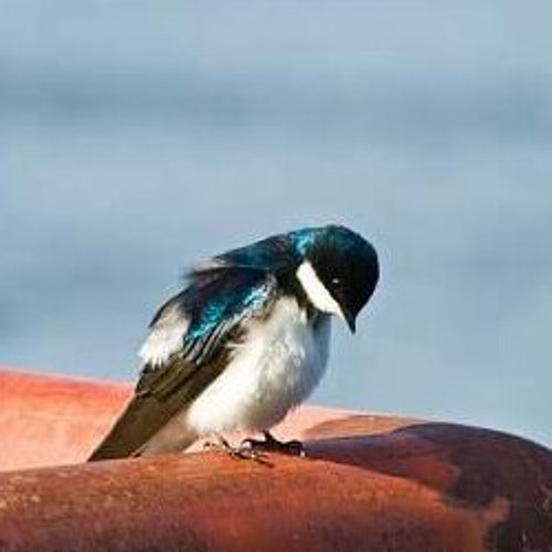 Take the Heat of Testing and Melt Away • Nur Muhammad Realities ...