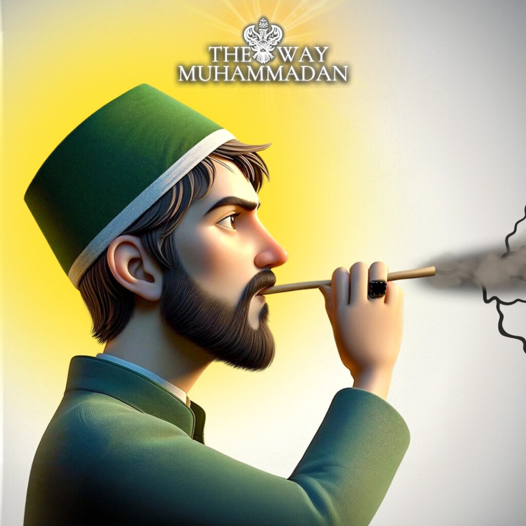 The 7 Lataif of the Head The Holy Openings • Nur Muhammad Realities ...